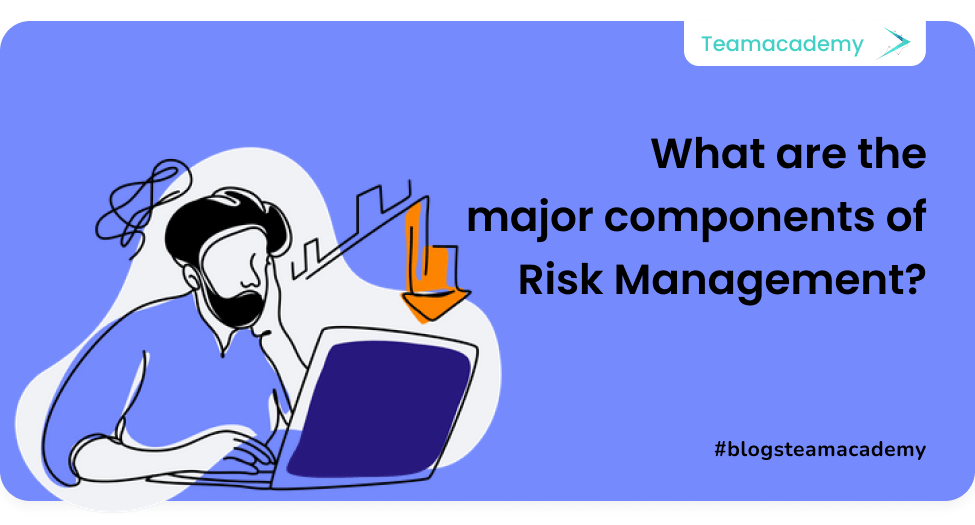 What are the major components of Risk Management? – Team Academy
